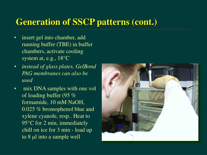 PPT - PCR-SSCP Technique Protocols and “Demonstration” PowerPoint ...