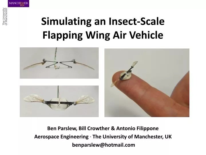 PPT - Simulating an Insect-Scale Flapping Wing Air Vehicle PowerPoint ...