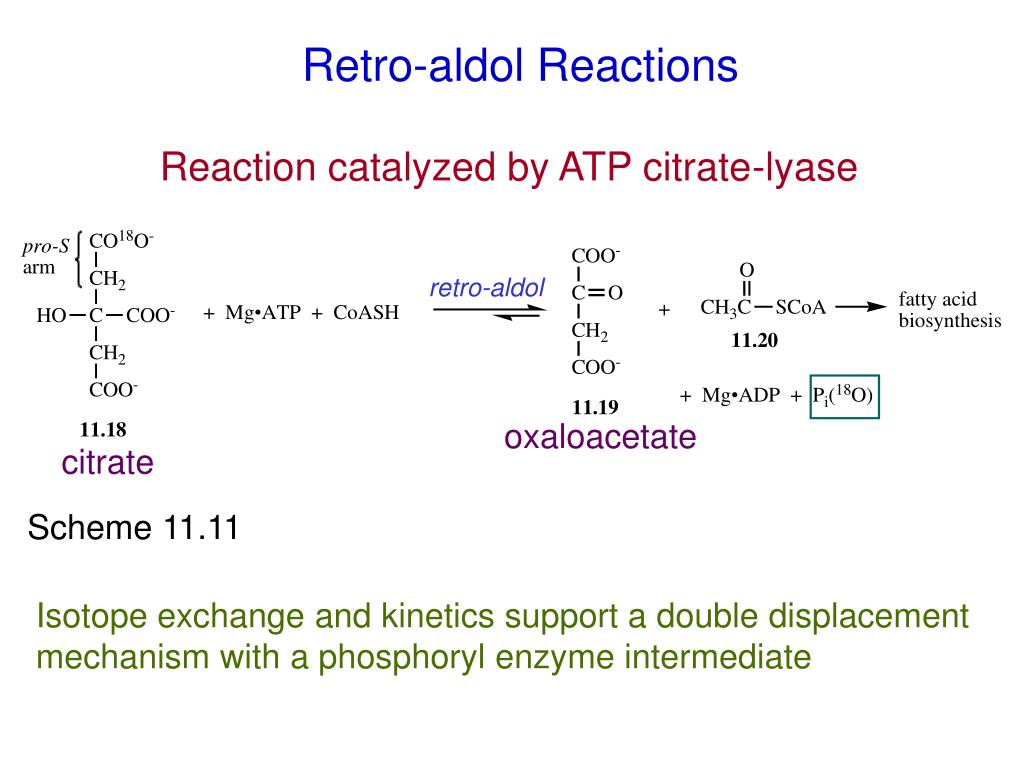 PPT - The Organic Chemistry of Enzyme-Catalyzed Reactions Chapter 11 ...