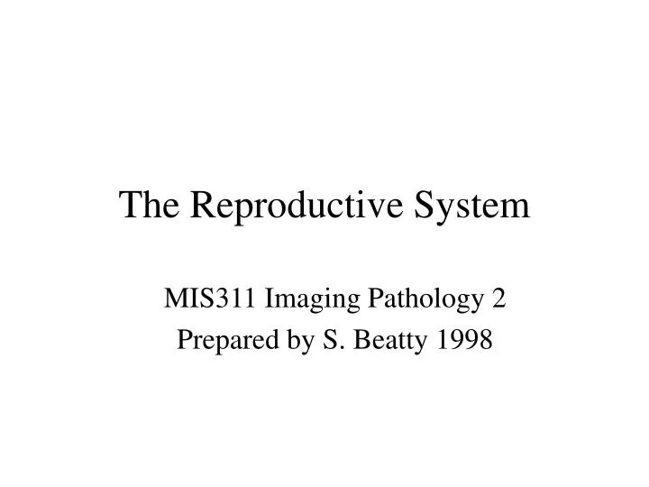 PPT - The Reproductive System PowerPoint Presentation, free download ...