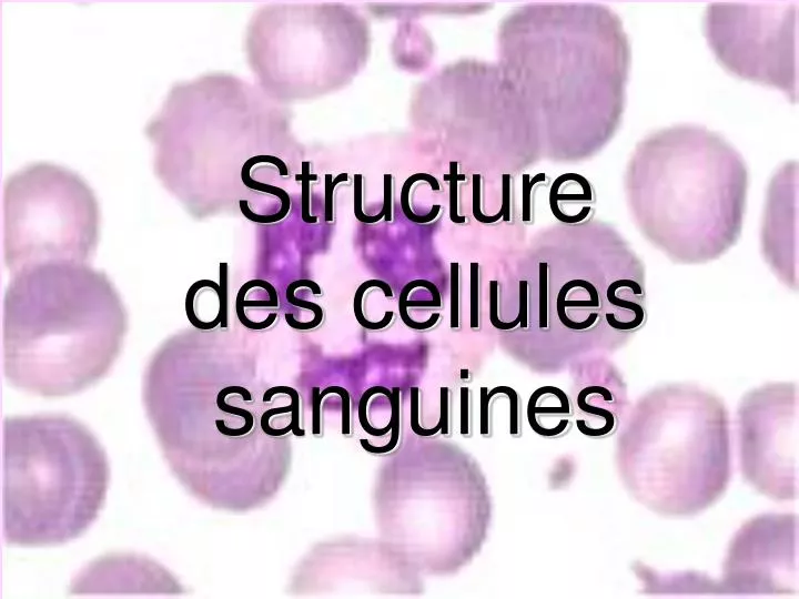 PPT - Structure des cellules sanguines PowerPoint Presentation, free ...