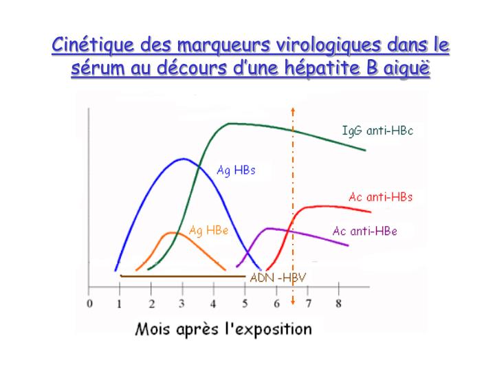 PPT - Sérologie HIV négative Ag HBs négatif Ac anti-HBs >1000 Ac anti-HBc positif PowerPoint ...
