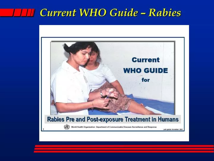 PPT - Current WHO Guide – Rabies PowerPoint Presentation, free download ...