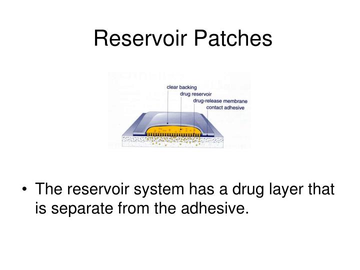 PPT - Transdermal Delivery Systems PowerPoint Presentation - ID:633271