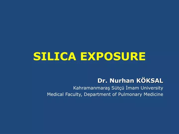 PPT - SILICA EXPOSURE PowerPoint Presentation, free download - ID:633529
