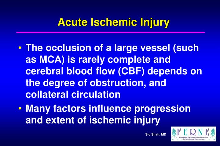 PPT - Pathogenesis of Stroke: Ischemia & Hemorrhage PowerPoint ...