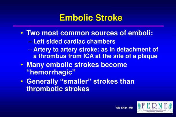 PPT - Pathogenesis of Stroke: Ischemia & Hemorrhage PowerPoint ...