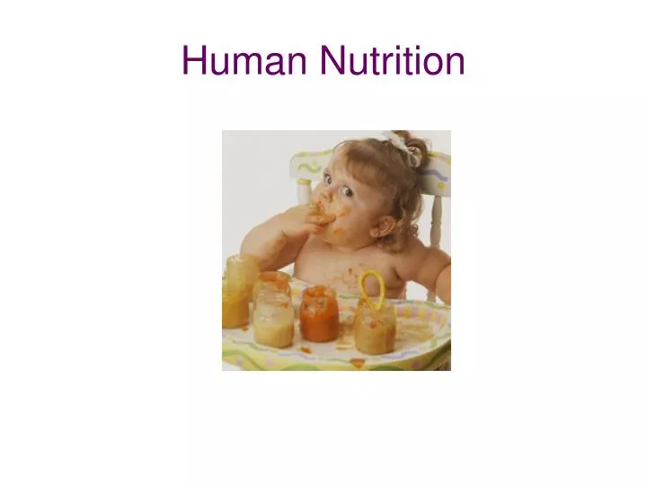 PPT - Human Nutrition PowerPoint Presentation, free download - ID:634873