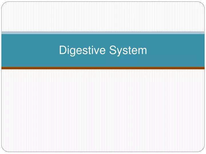 PPT - Digestive System PowerPoint Presentation, free download - ID:635296