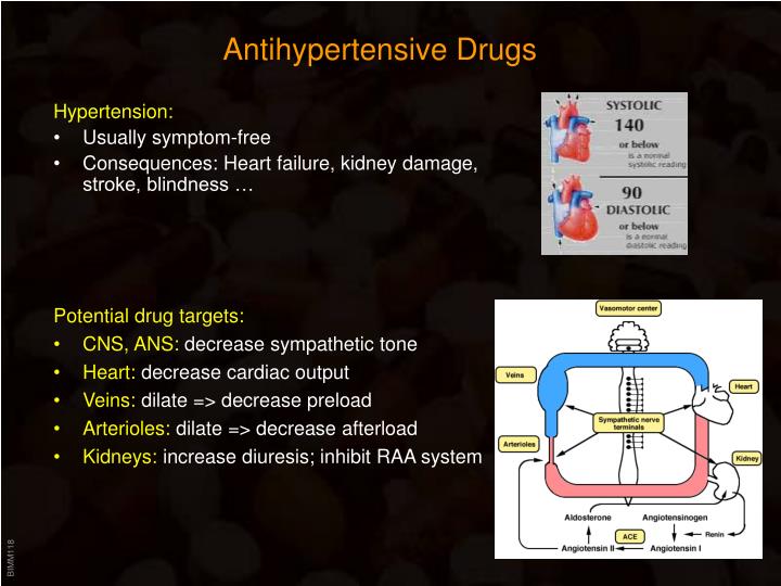 PPT - Cardiovascular Pharmacology PowerPoint Presentation - ID:635681