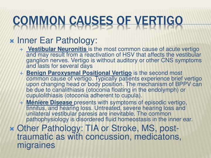 PPT - Dizziness and Vertigo PowerPoint Presentation - ID:635707