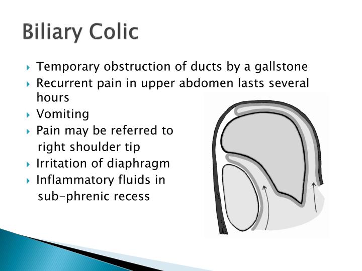 PPT - The Liver, Gallbladder and Biliary Tree PowerPoint Presentation ...