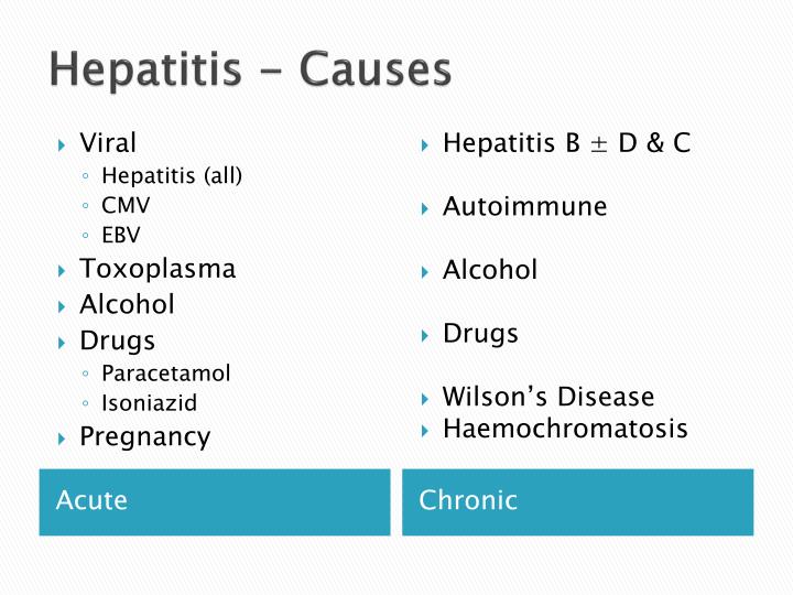 PPT - The Liver, Gallbladder and Biliary Tree PowerPoint Presentation ...
