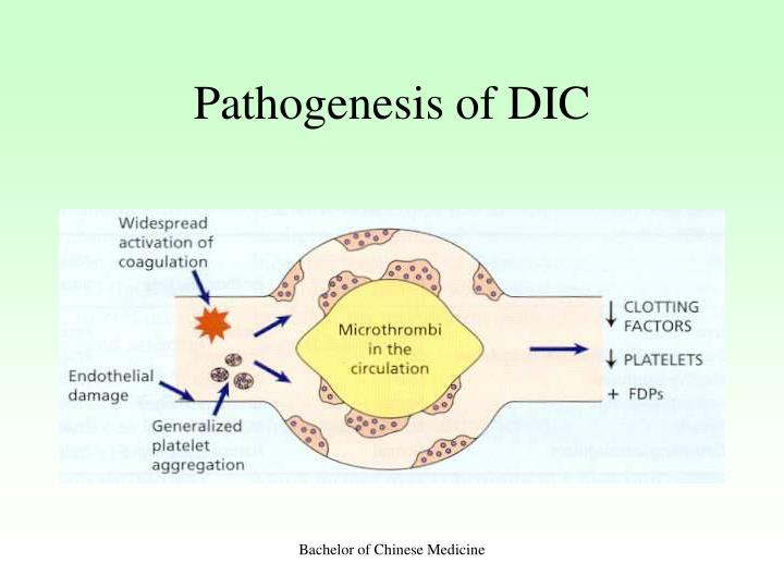 PPT - Disseminated intravascular coagulation (DIC) PowerPoint ...