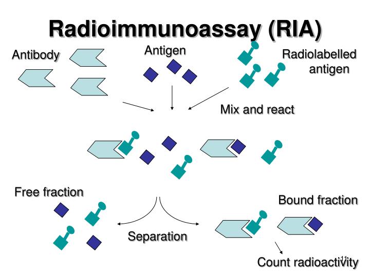 PPT - Determination of assay validation PowerPoint Presentation - ID:636520