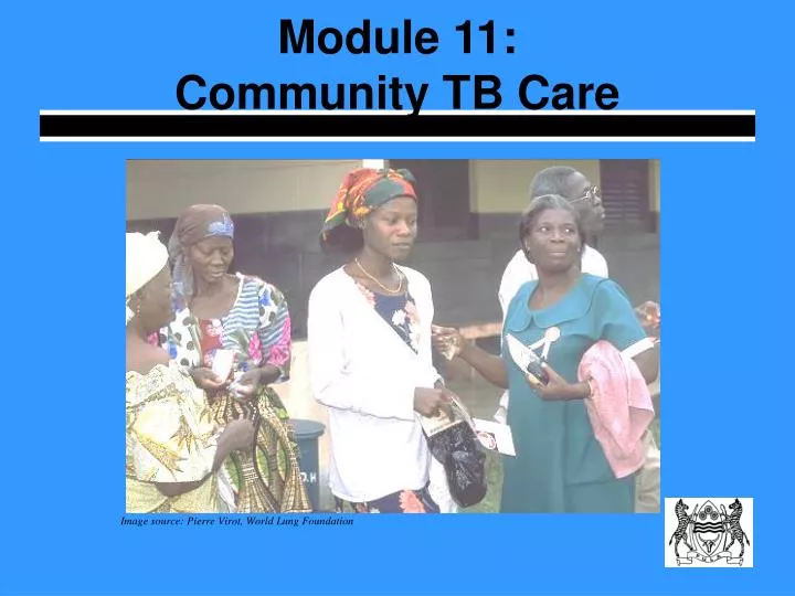 PPT - Module 11: Community TB Care PowerPoint Presentation, free ...
