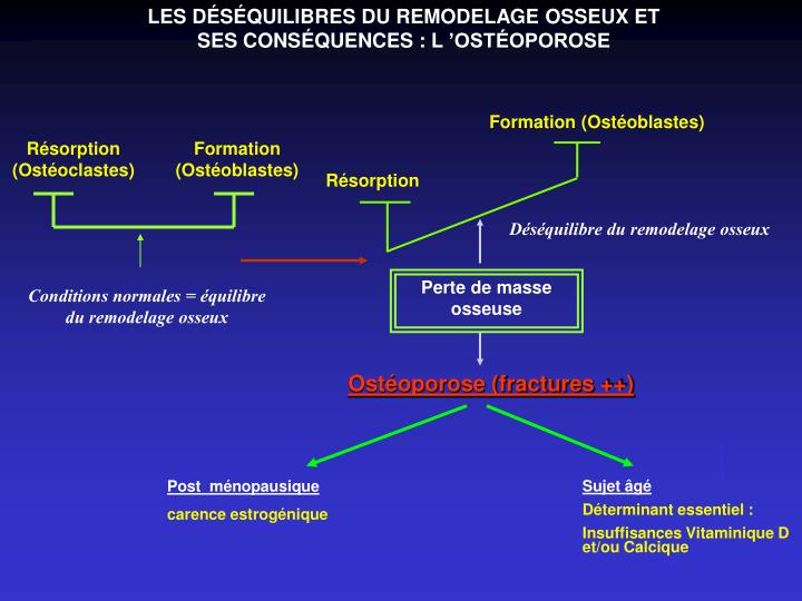 PPT - PHYSIOPATHOLOGIE DE L ’OSTÉOPOROSE (Bases cellulaires et ...