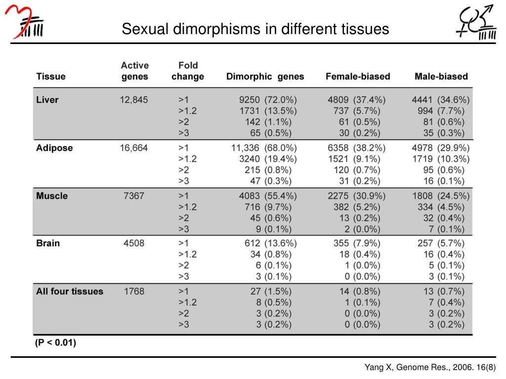 PPT - Sexually dimorphic gene expression in somatic tissues PowerPoint ...