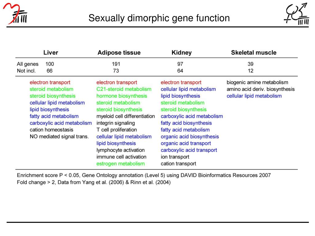 PPT - Sexually dimorphic gene expression in somatic tissues PowerPoint ...