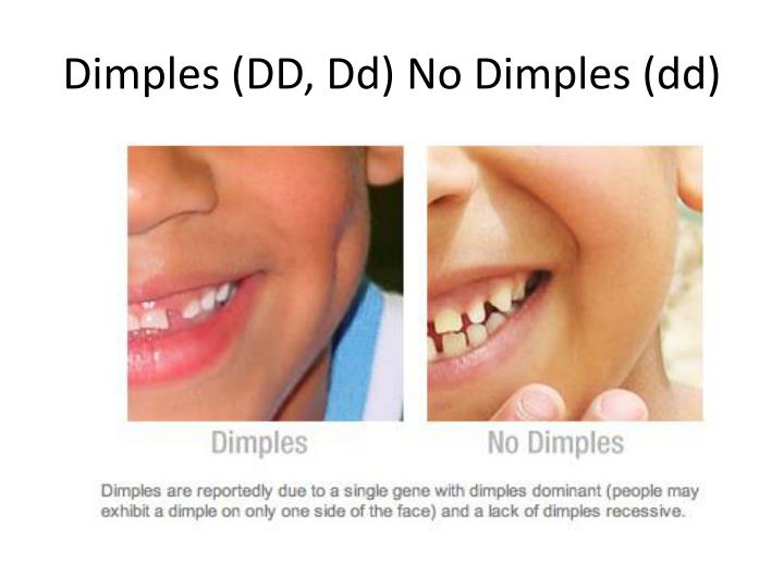 PPT - Dominant and Recessive Traits PowerPoint Presentation - ID:638868