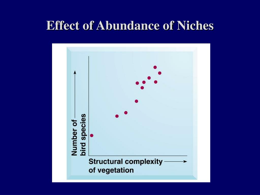 Ppt Species Diversity And Succession Powerpoint Presentation Free