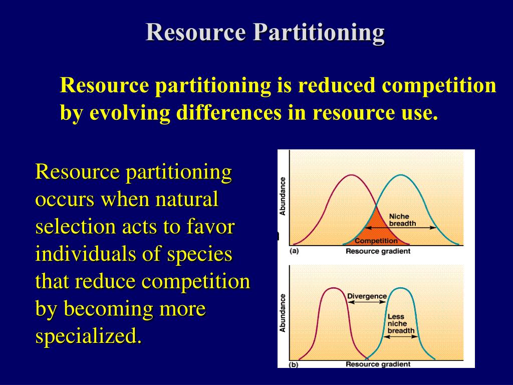 Ppt Species Diversity And Succession Powerpoint Presentation Free