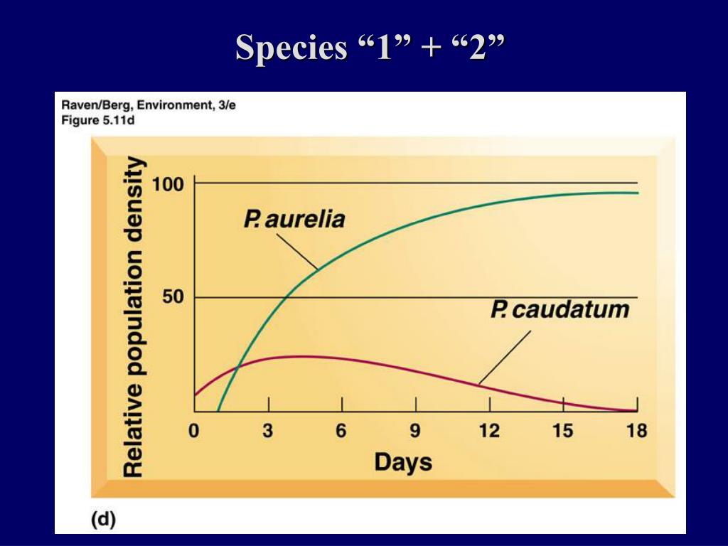 Ppt Species Diversity And Succession Powerpoint Presentation Free