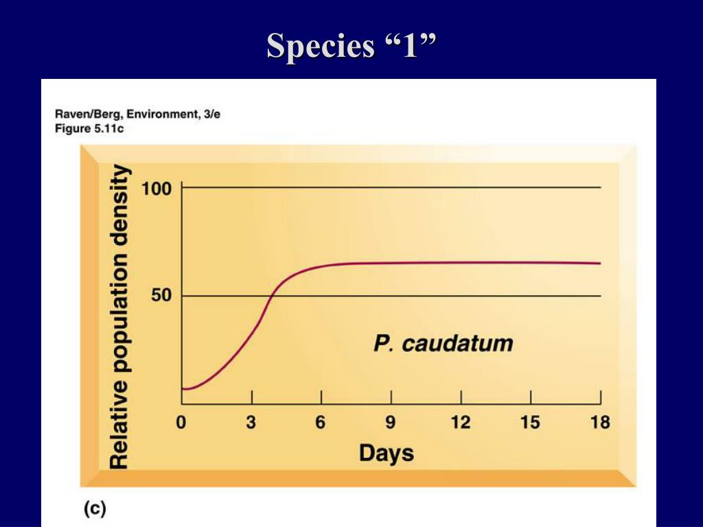 Ppt Species Diversity And Succession Powerpoint Presentation Free