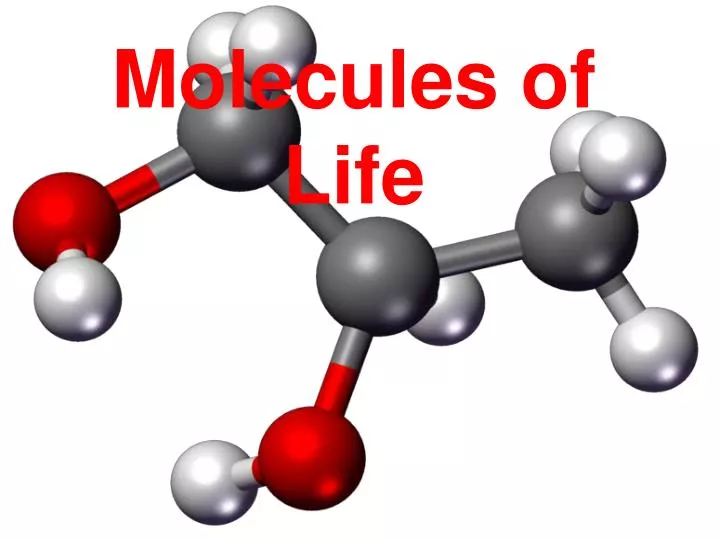 PPT - Molecules of Life PowerPoint Presentation, free download - ID:640901