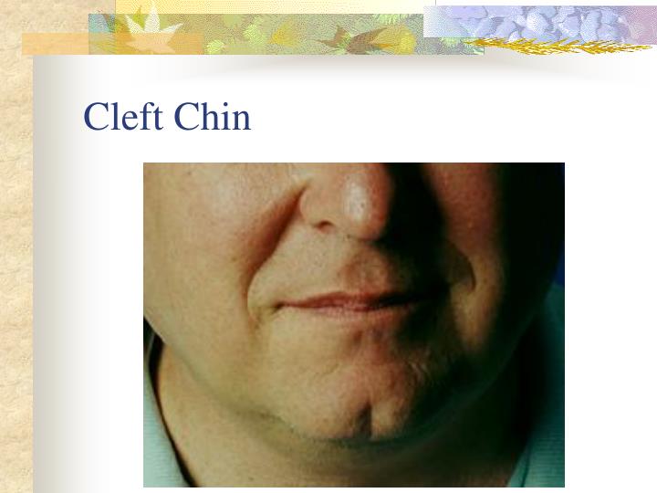 PPT - Mendel’s Principle of Dominance or Recessiveness PowerPoint ...