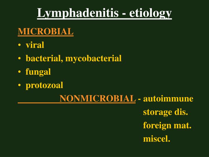 PPT - Lymph node pathology PowerPoint Presentation - ID:641763