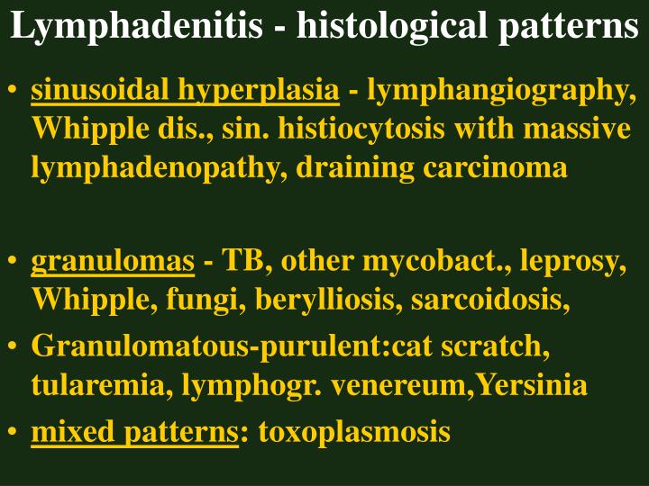 PPT - Lymph node pathology PowerPoint Presentation - ID:641763