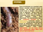 PPT - VERMICULTURE PowerPoint Presentation - ID:642278
