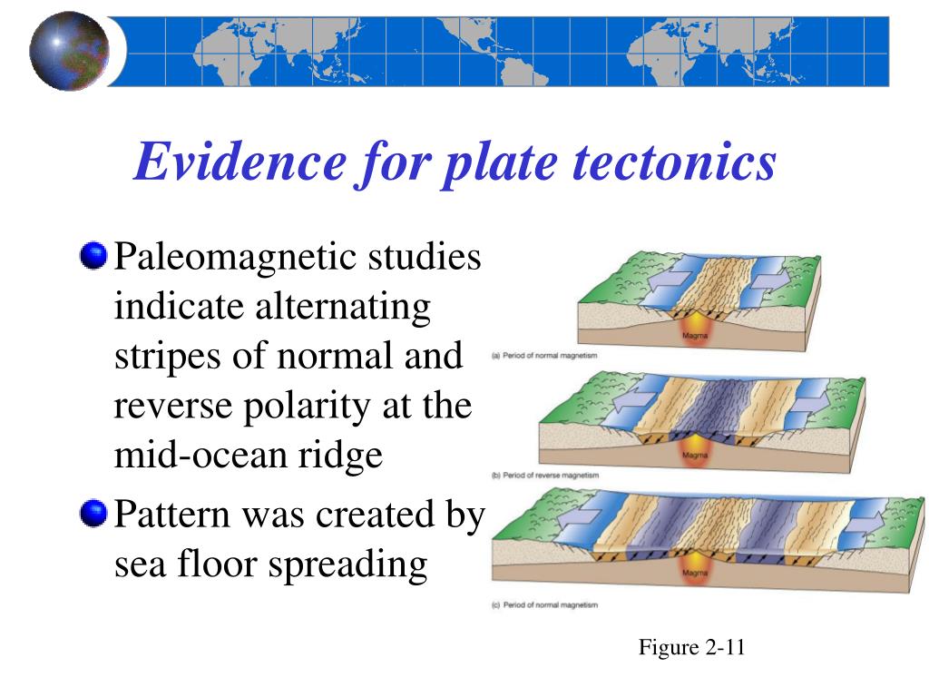 Evidence Of Plate Tectonics