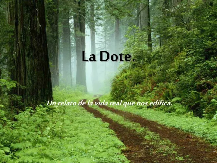 PPT - La Dote. PowerPoint Presentation, free download - ID:642547