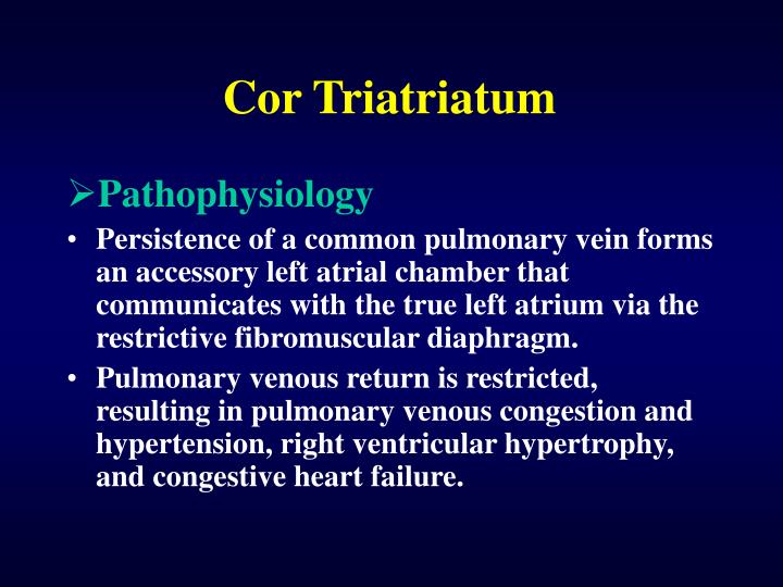 PPT - Cor Triatriatum PowerPoint Presentation - ID:645287