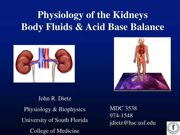 PPT - Physiology of the Kidneys Body Fluids & Acid Base Balance ...