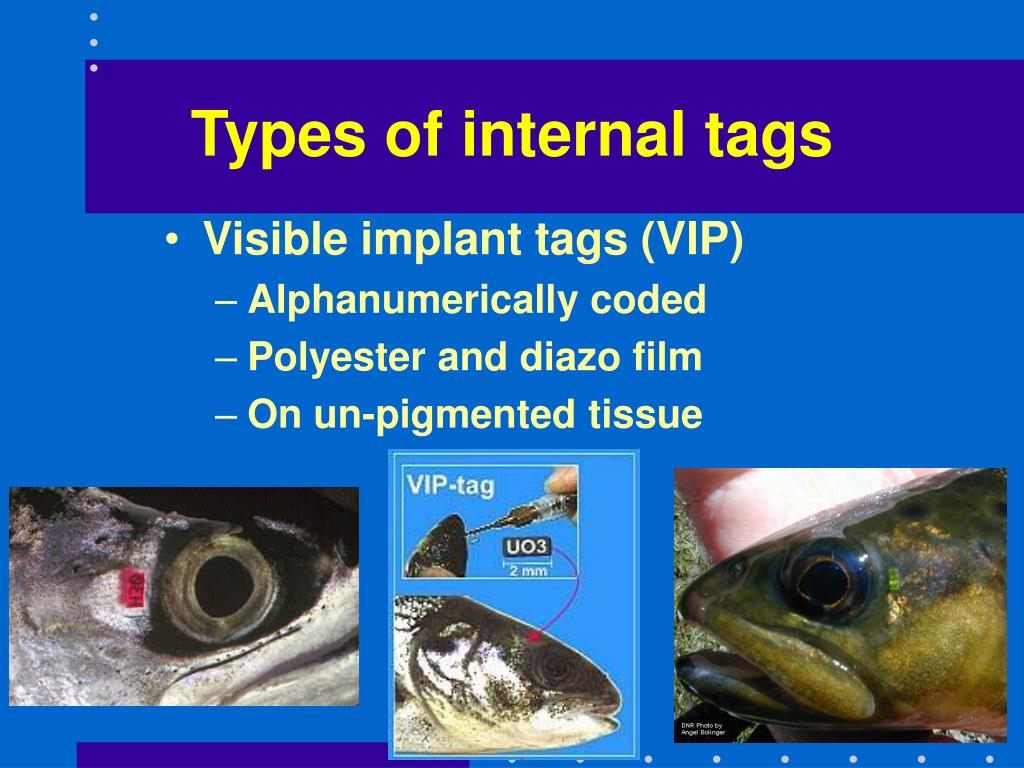 PPT - Chapter 12 PowerPoint Presentation, free download - ID:646745