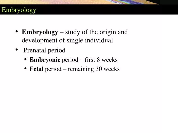 PPT - Embryology PowerPoint Presentation, free download - ID:648399
