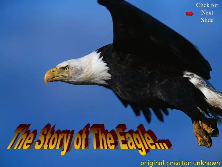 PPT - The Story of The Eagle… PowerPoint Presentation, free download ...