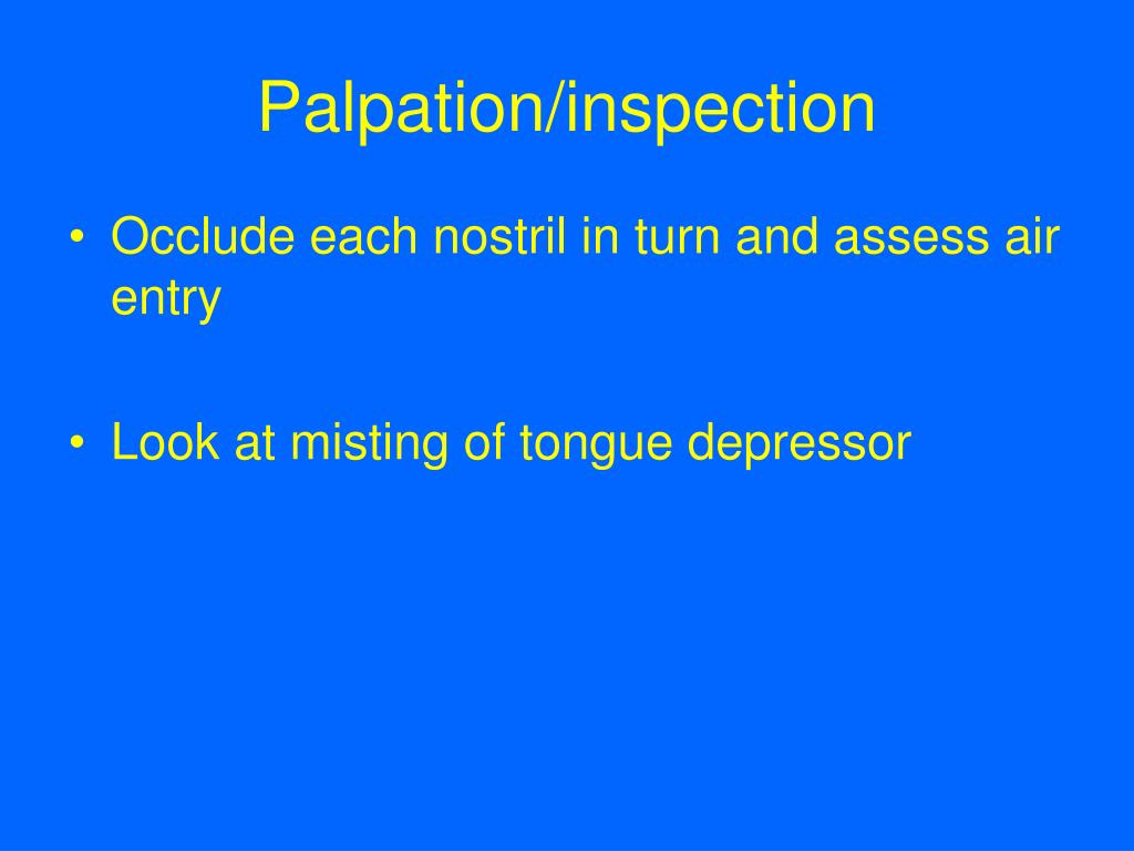 PPT - Clinical Examination of the Ear, Nose and Throat PowerPoint ...
