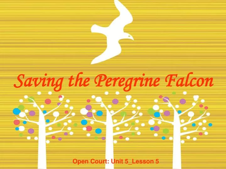 PPT - Saving the Peregrine Falcon PowerPoint Presentation, free ...