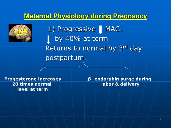 PPT - Anesthetic Considerations of Physiological Changes During ...