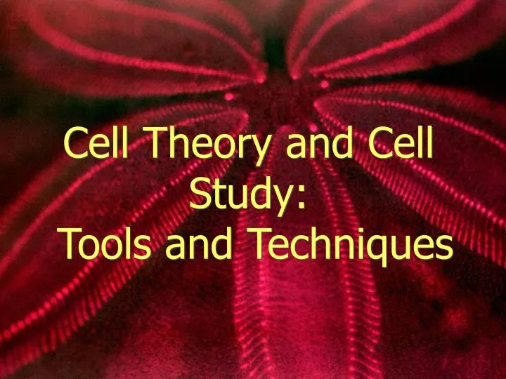 PPT - Cell Theory and Cell Study: Tools and Techniques PowerPoint ...