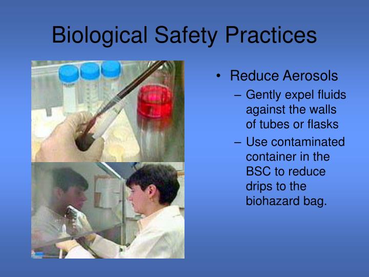 PPT - Biological Safety PowerPoint Presentation - ID:650917