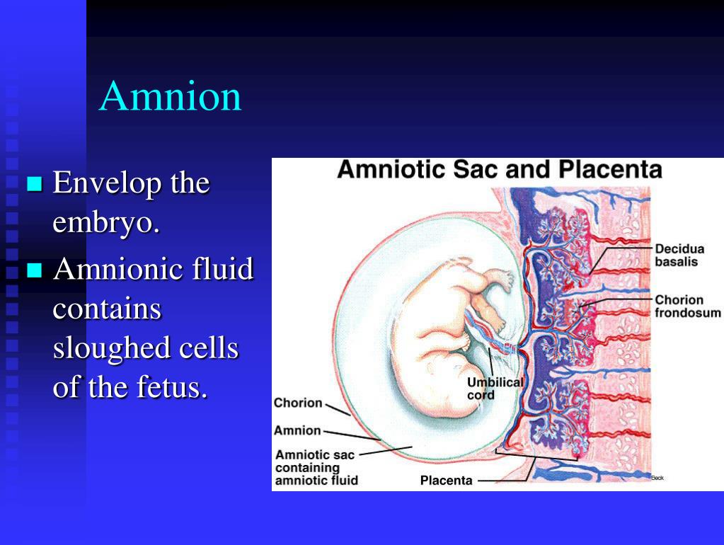 PPT - Chapter 18 PowerPoint Presentation, free download - ID:651210