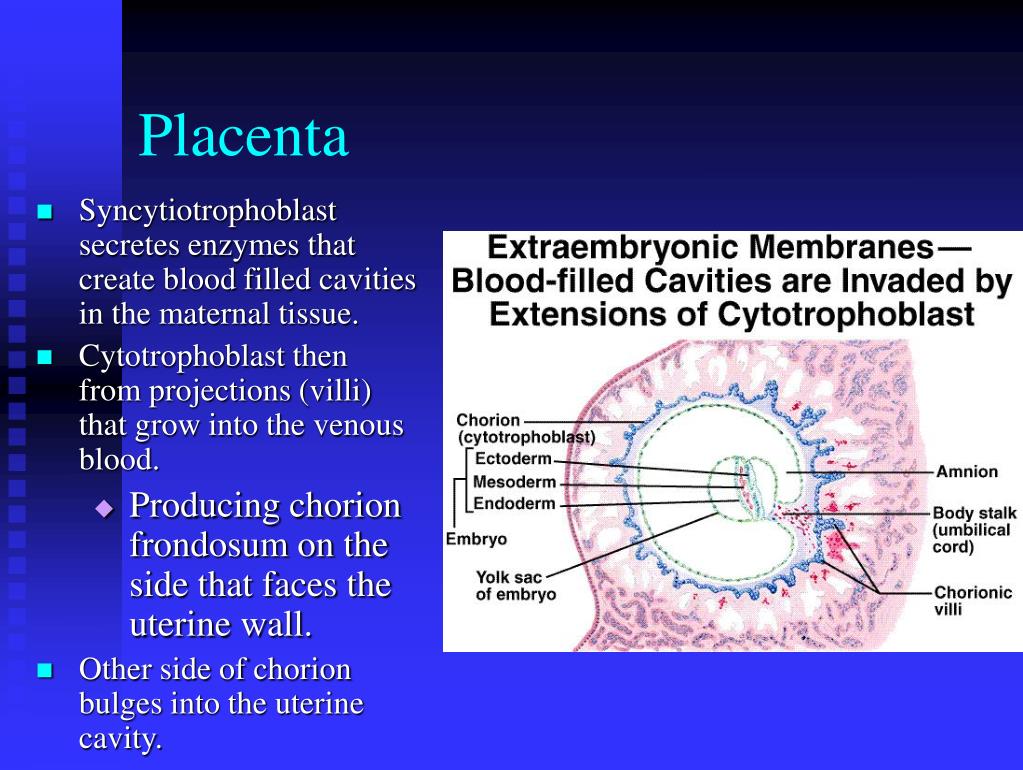 PPT - Chapter 18 PowerPoint Presentation, free download - ID:651210