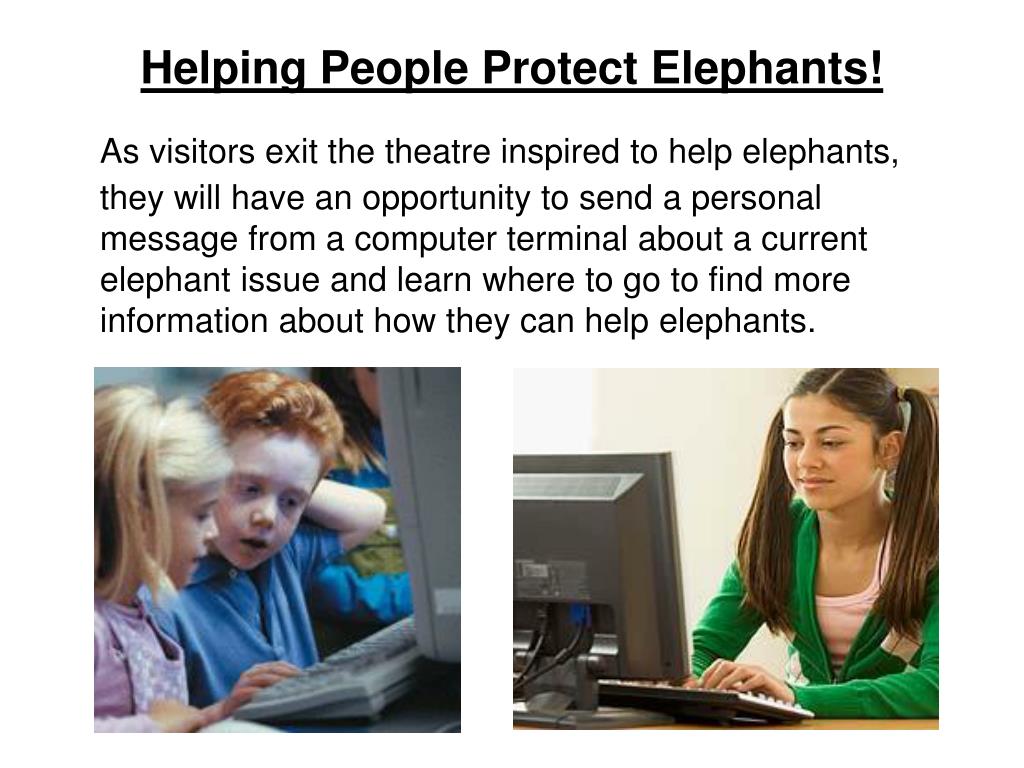 PPT - The Most Engaging Elephant Experience Outside of Africa or Asia ...
