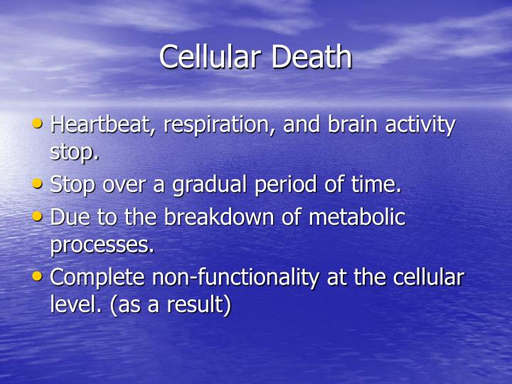 PPT - Death and Dying PowerPoint Presentation - ID:651656