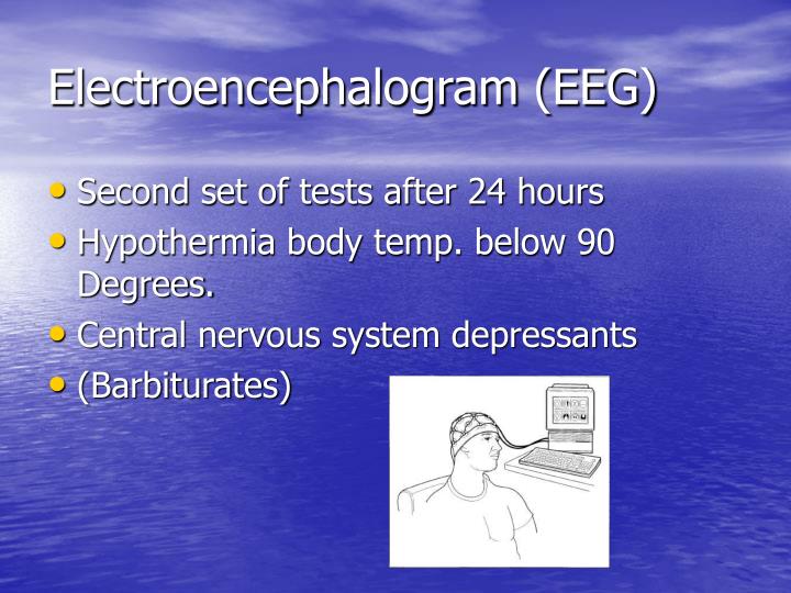 PPT - Death and Dying PowerPoint Presentation - ID:651656